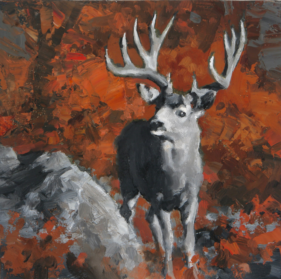 Products – Page 2 – Jason Rich Studios