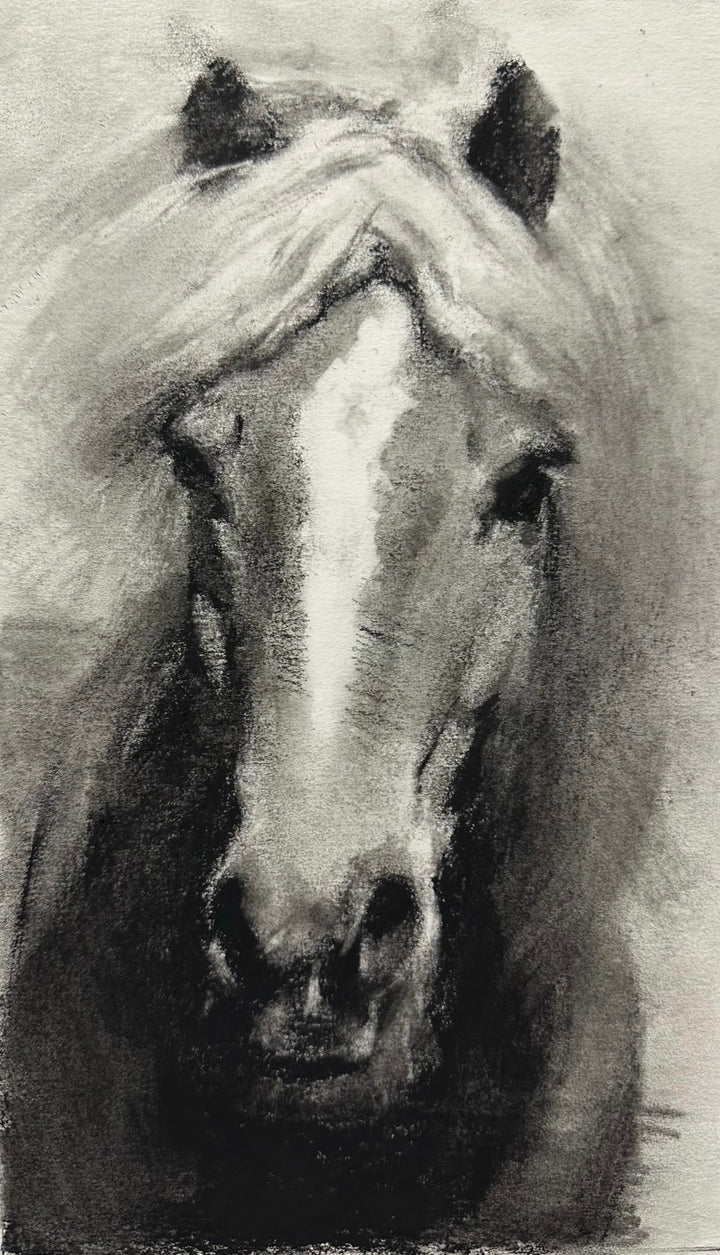 Products – Page 2 – Jason Rich Studios